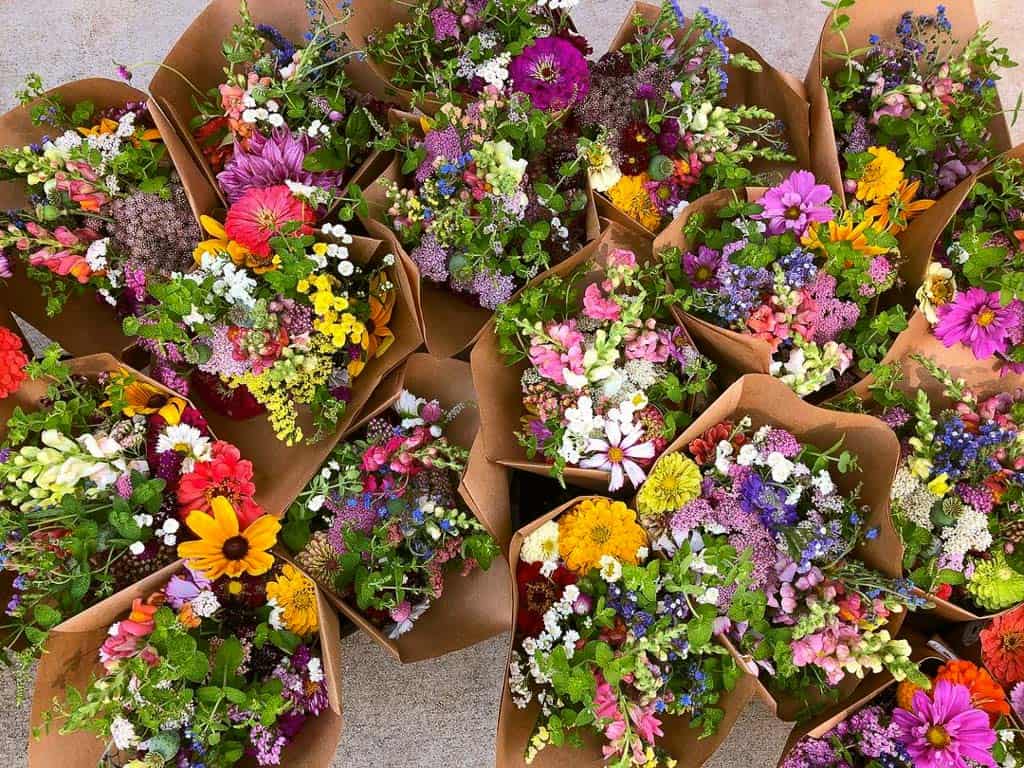 Terre Fleur – Blustery Day Design
